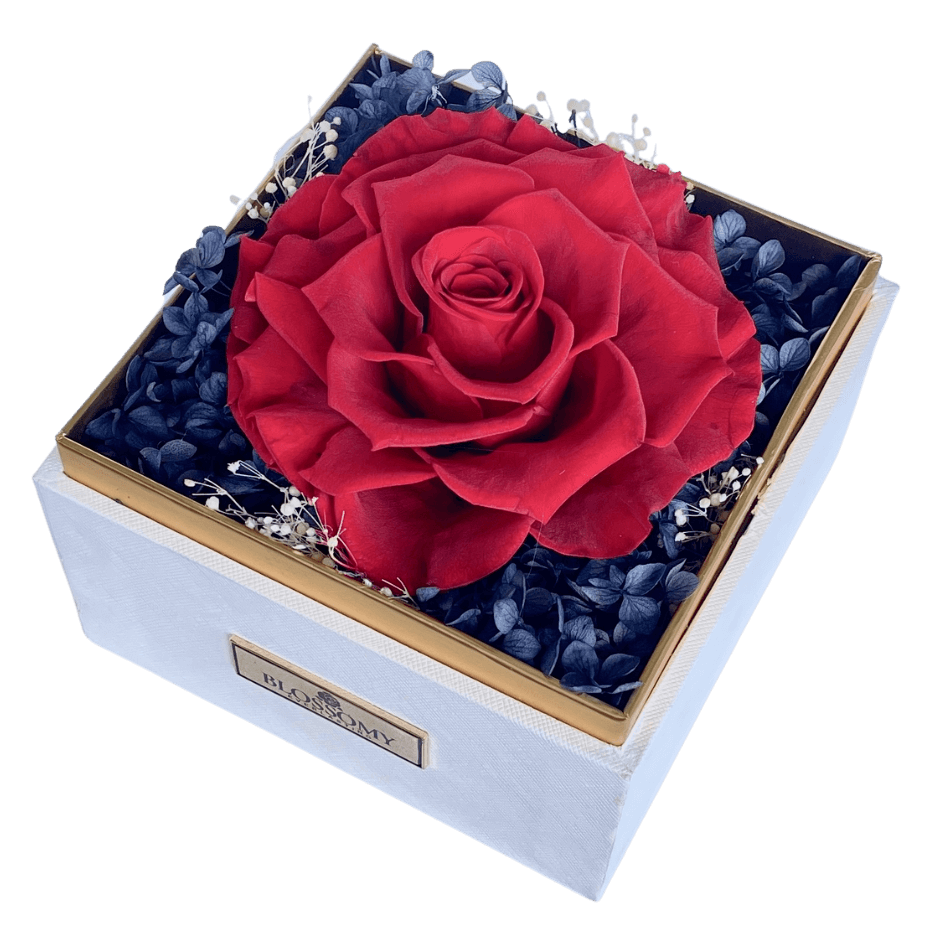 SHOP NOW - BLOSSOMY™ - Luxury Roses & Gifts