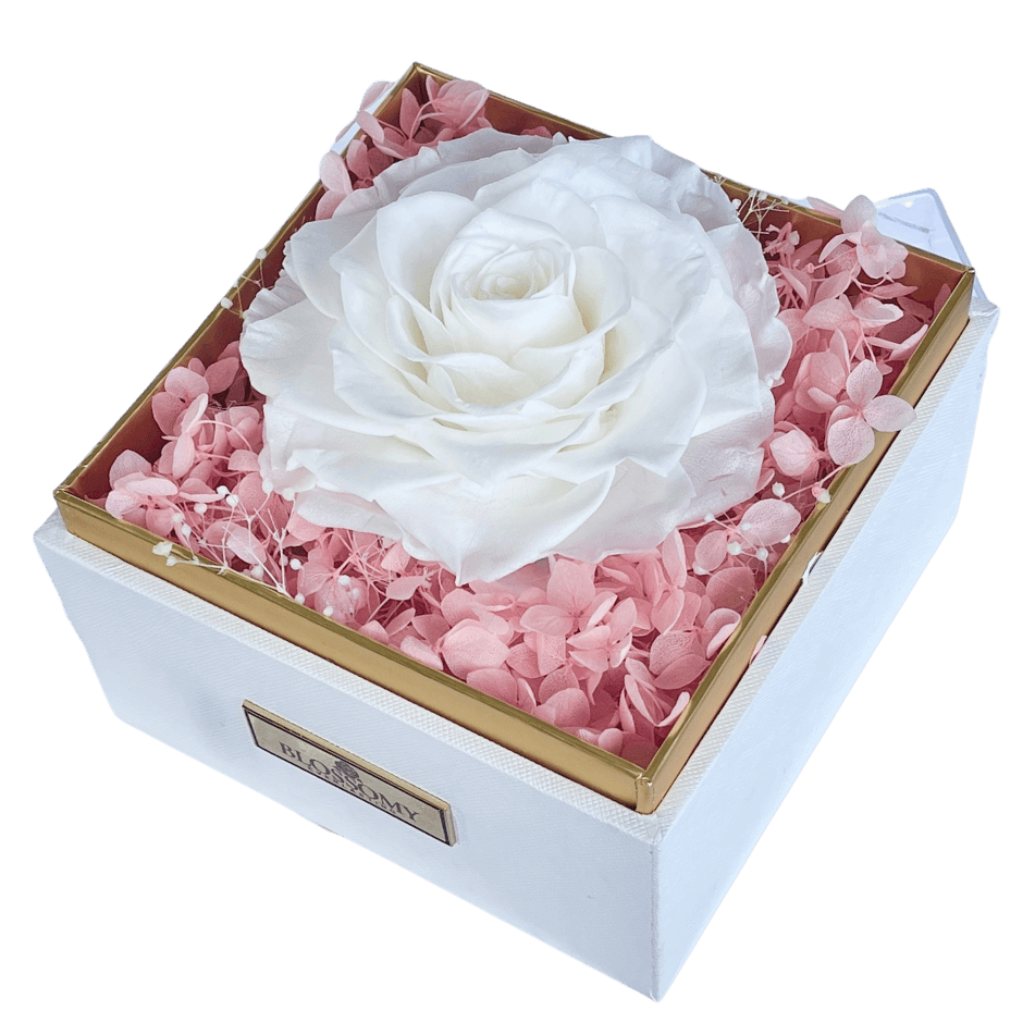 SHOP NOW - BLOSSOMY™ - Luxury Roses & Gifts