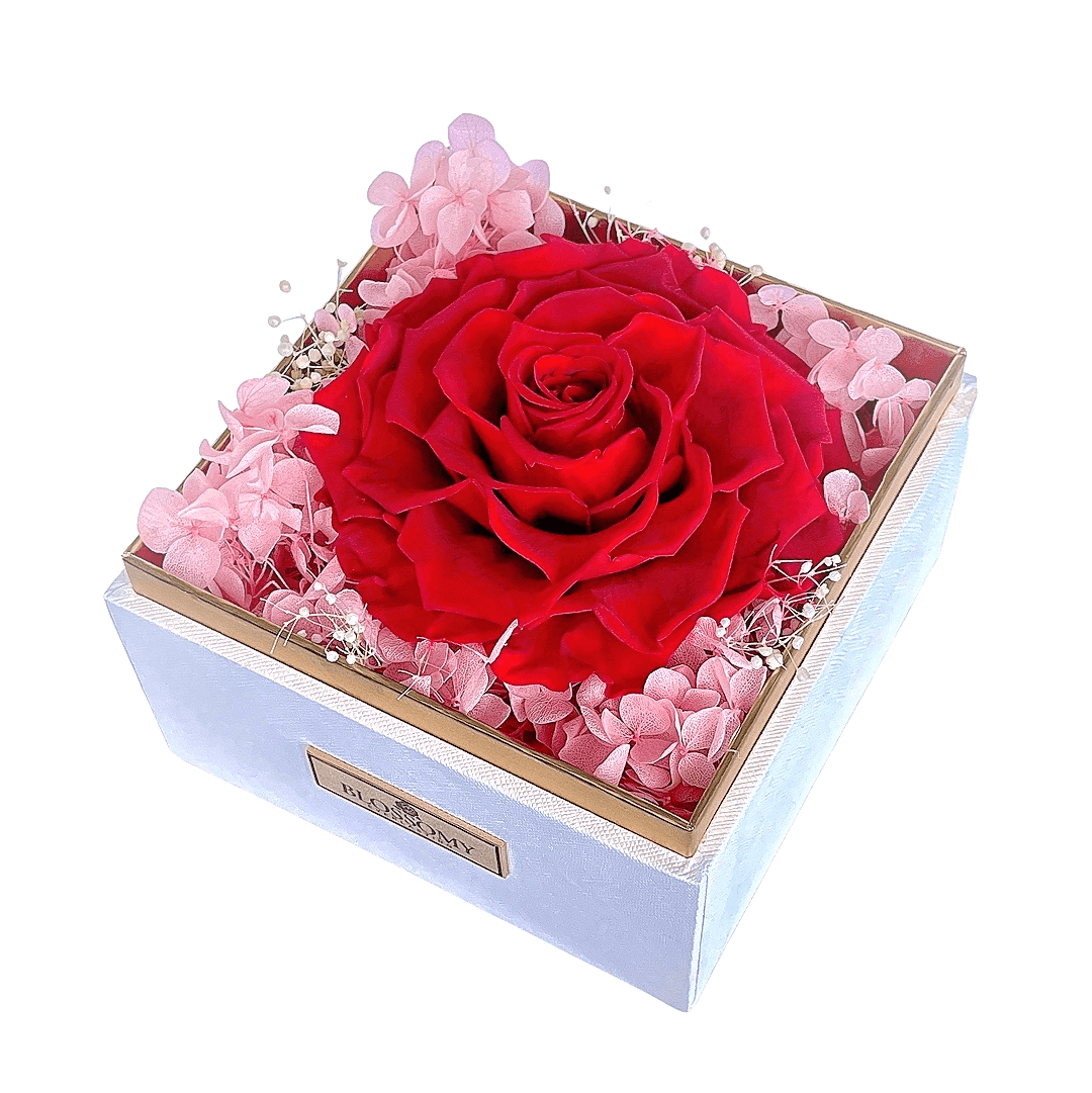 Nicole Red Rose Box - BLOSSOMY™ - Luxury Roses & Gifts