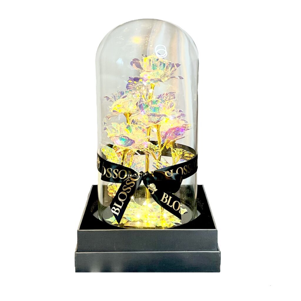 Enchanted Red Rose Dome - BLOSSOMY™ - Luxury Roses & Gifts