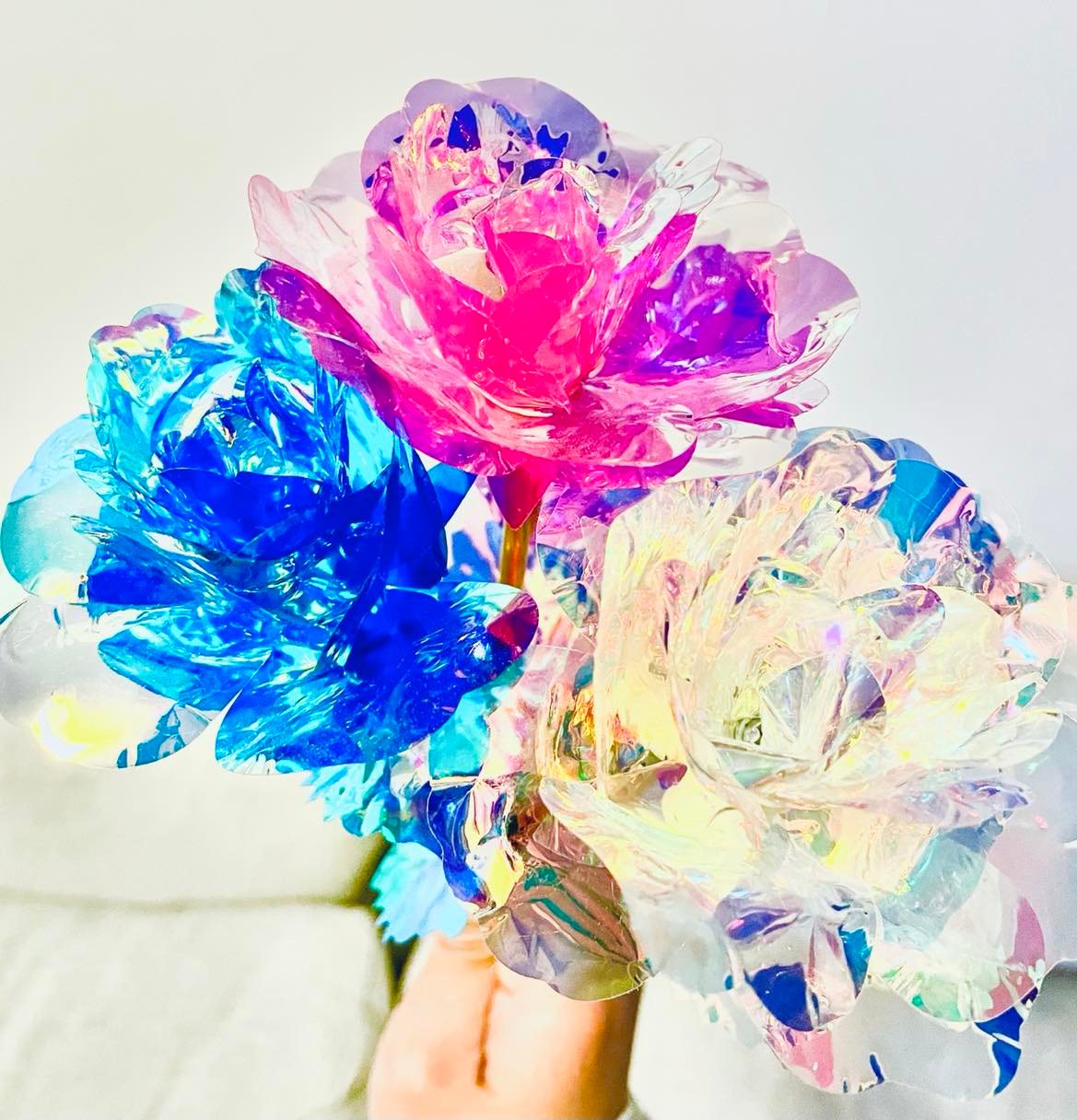 Eternity Galaxy Roses Randwick - BLOSSOMY