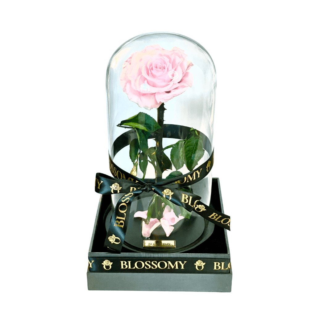 Enchanted Pink Rose Dome - BLOSSOMY