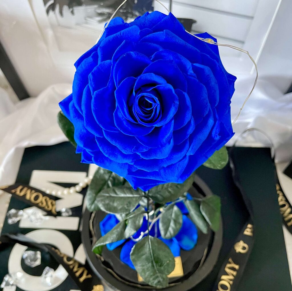 Enchanted Royal Blue Rose Dome - BLOSSOMY™ - Luxury Roses & Gifts
