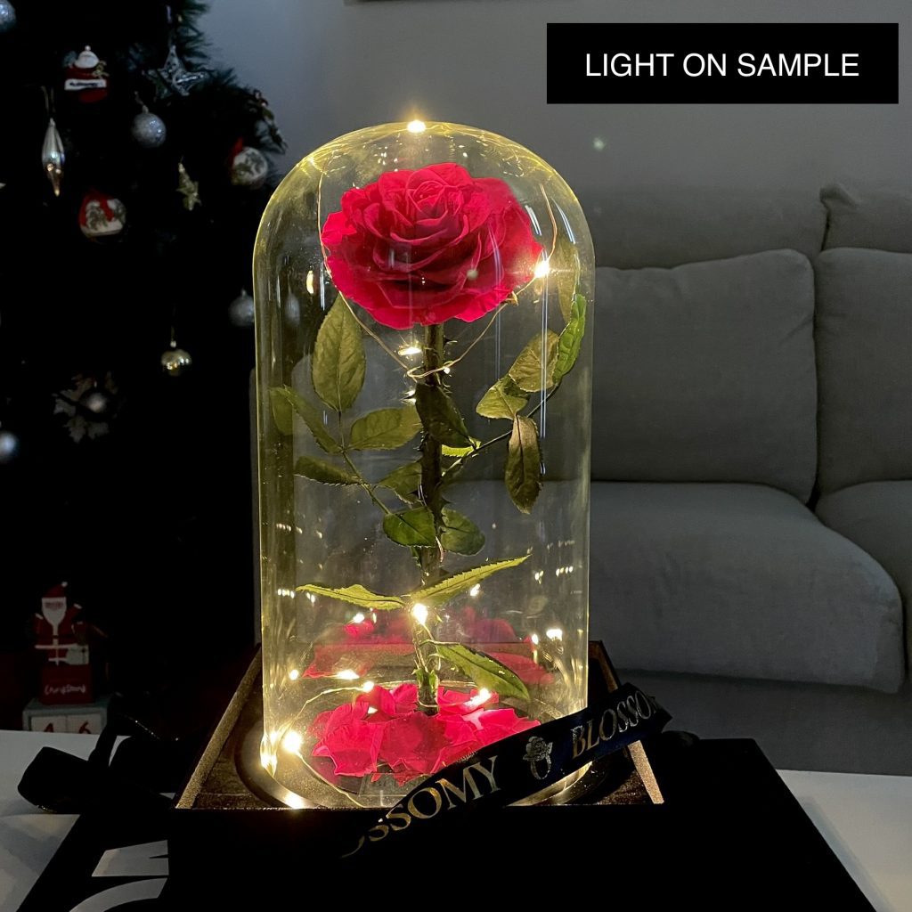 Enchanted Red Rose Dome - BLOSSOMY