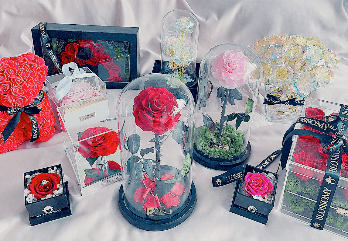 Preserved Roses - BLOSSOMY