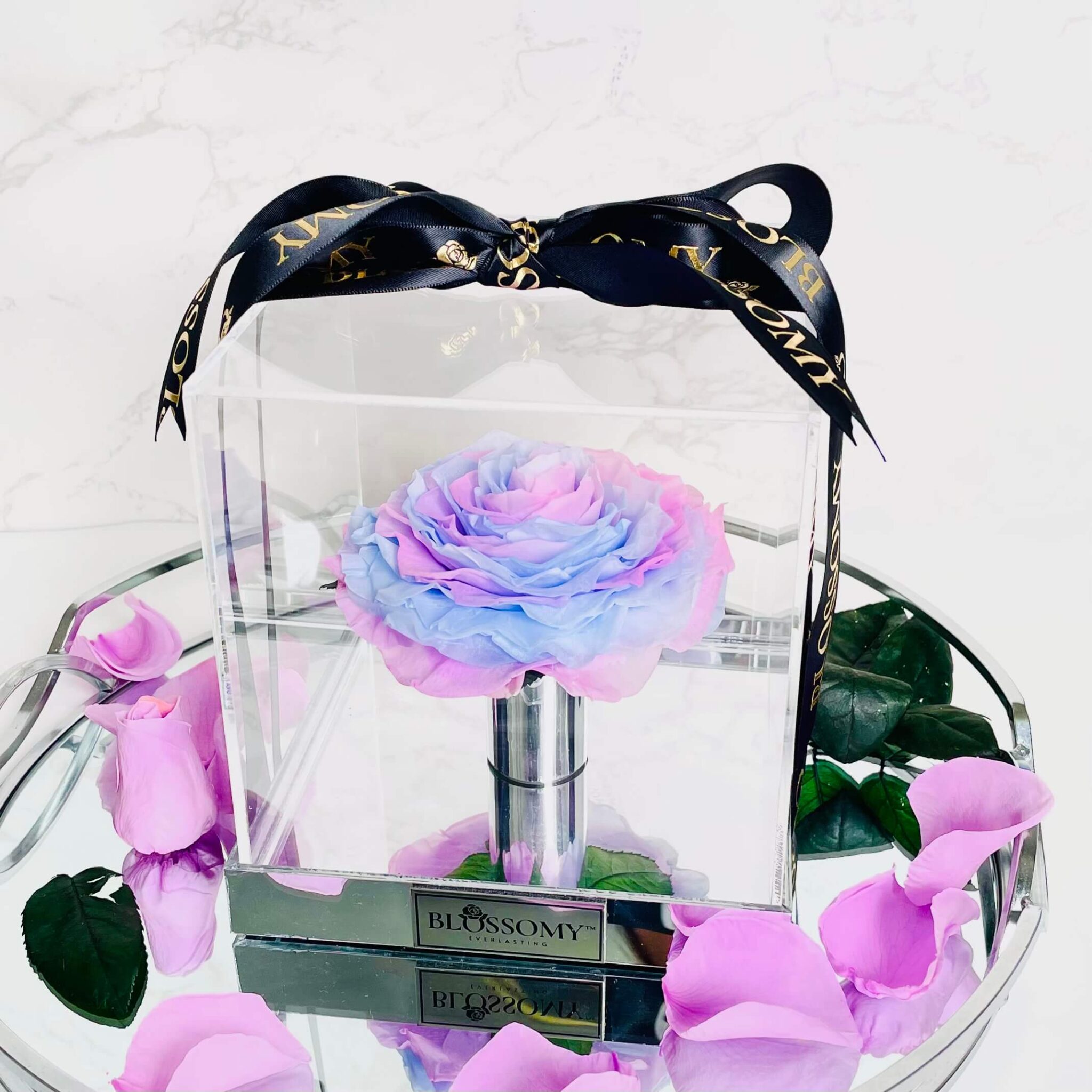 Forever Violet Rose - BLOSSOMY