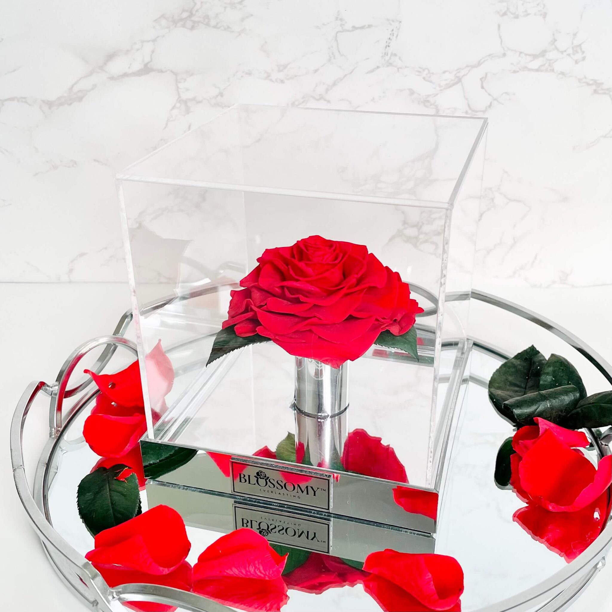 Forever Red Rose - BLOSSOMY