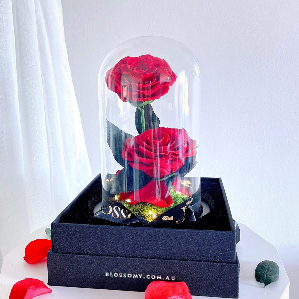 Preserved Duo Rose Dome - BLOSSOMY